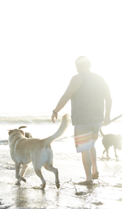 Keeping your pet happy when it's hot out | Southern Cross Pet Insurance